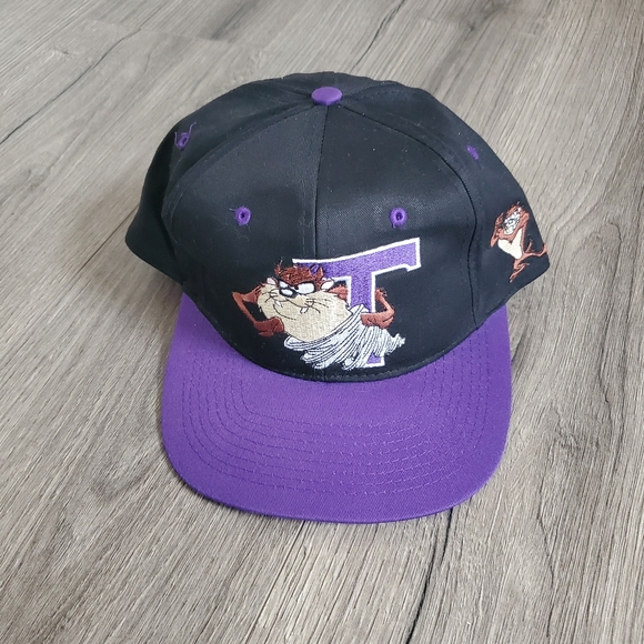 Warner Bros. | Accessories | Vintage 993 Taz Looney Tunes Snapback Hat ...